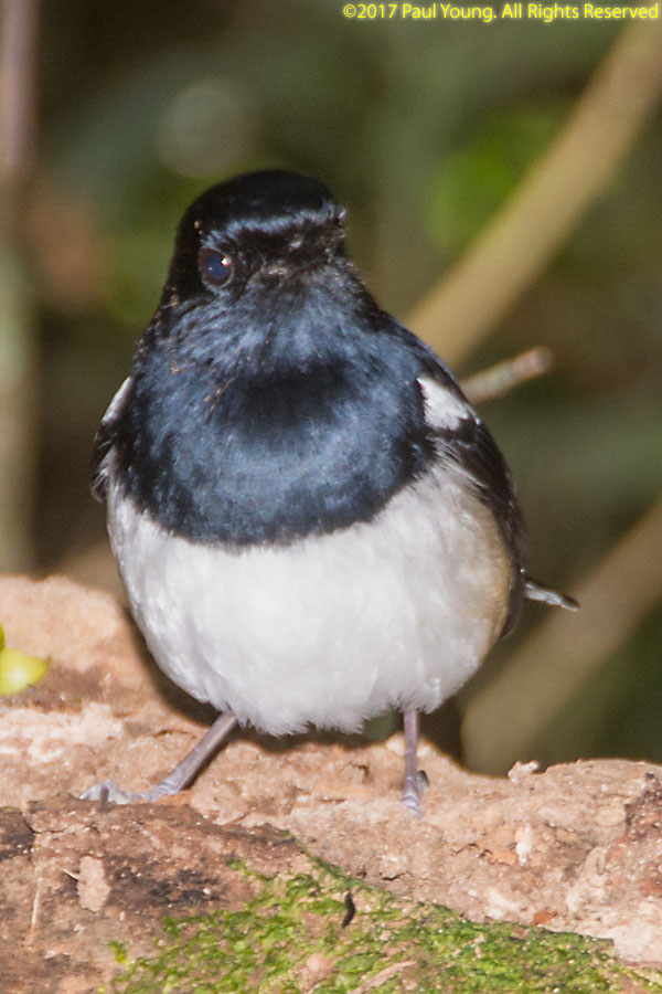 Madagascar Photo Gallery