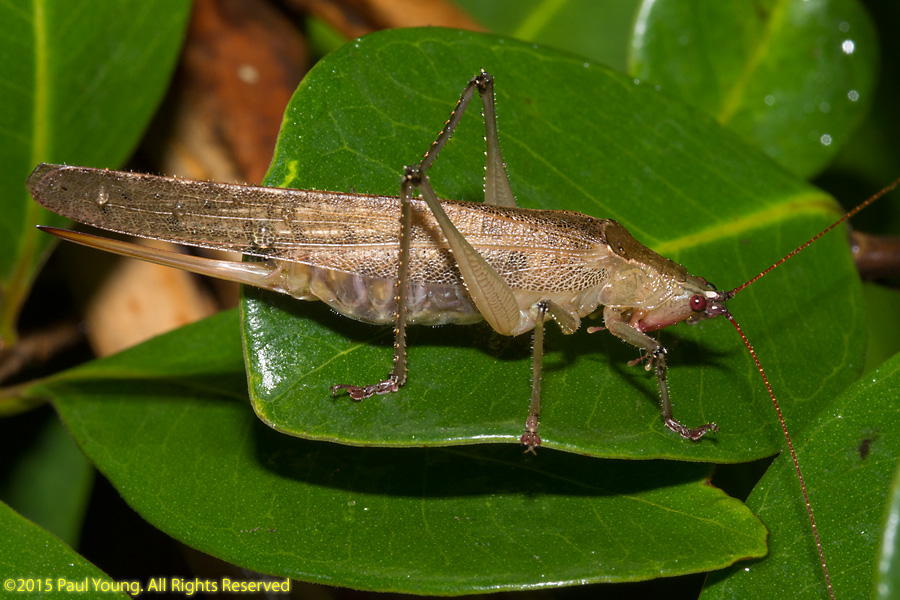 Madagascar Photo Gallery