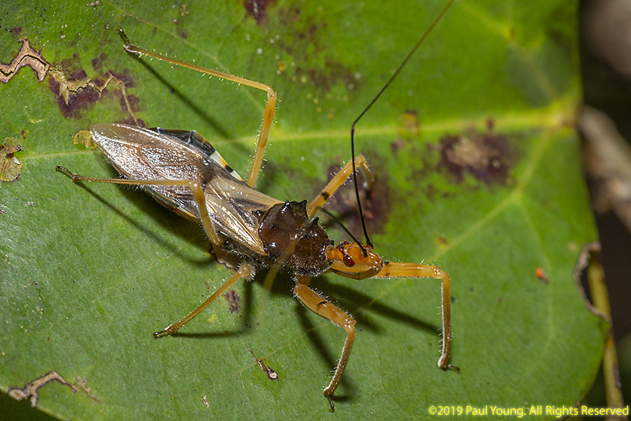 Madagascar Photo Gallery