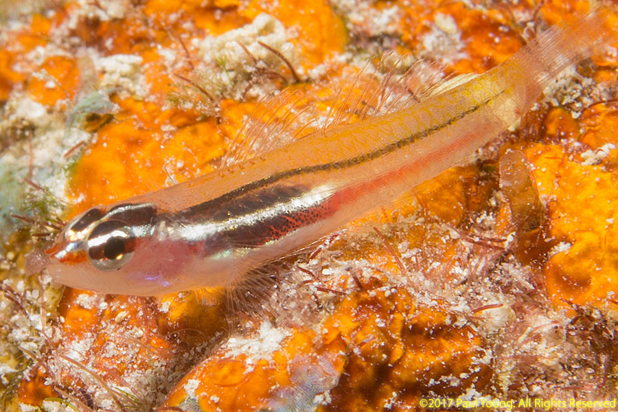 Maldives photo gallery