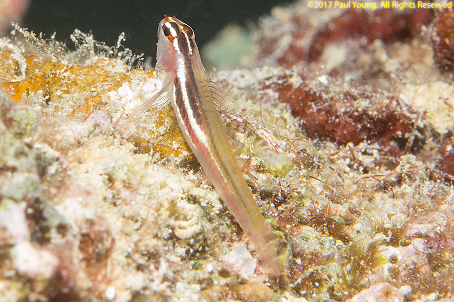 Maldives photo gallery