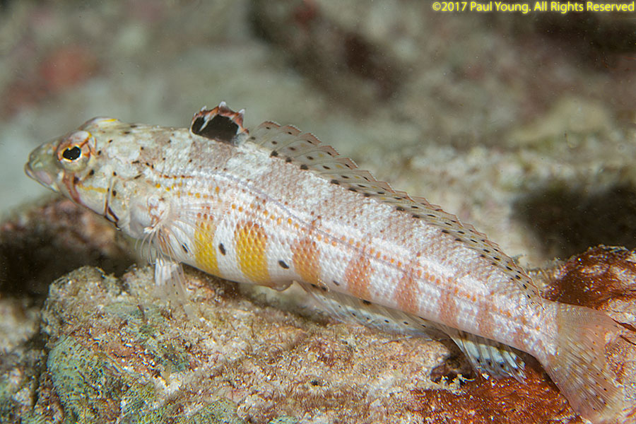 Maldives photo gallery