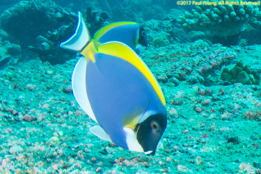 Maldives photo gallery