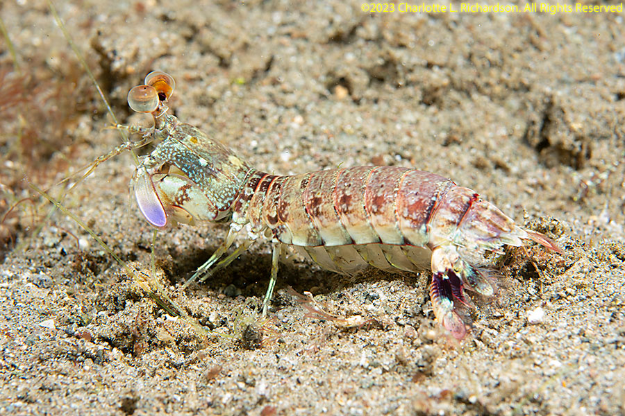 Philippines Photo Gallery