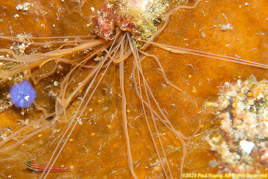 Philippines Photo Gallery